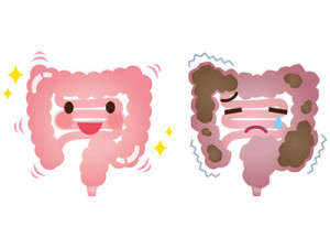 Obstipationsprophylaxe – Fortbildungvorort | Bildungsinstitut für ...